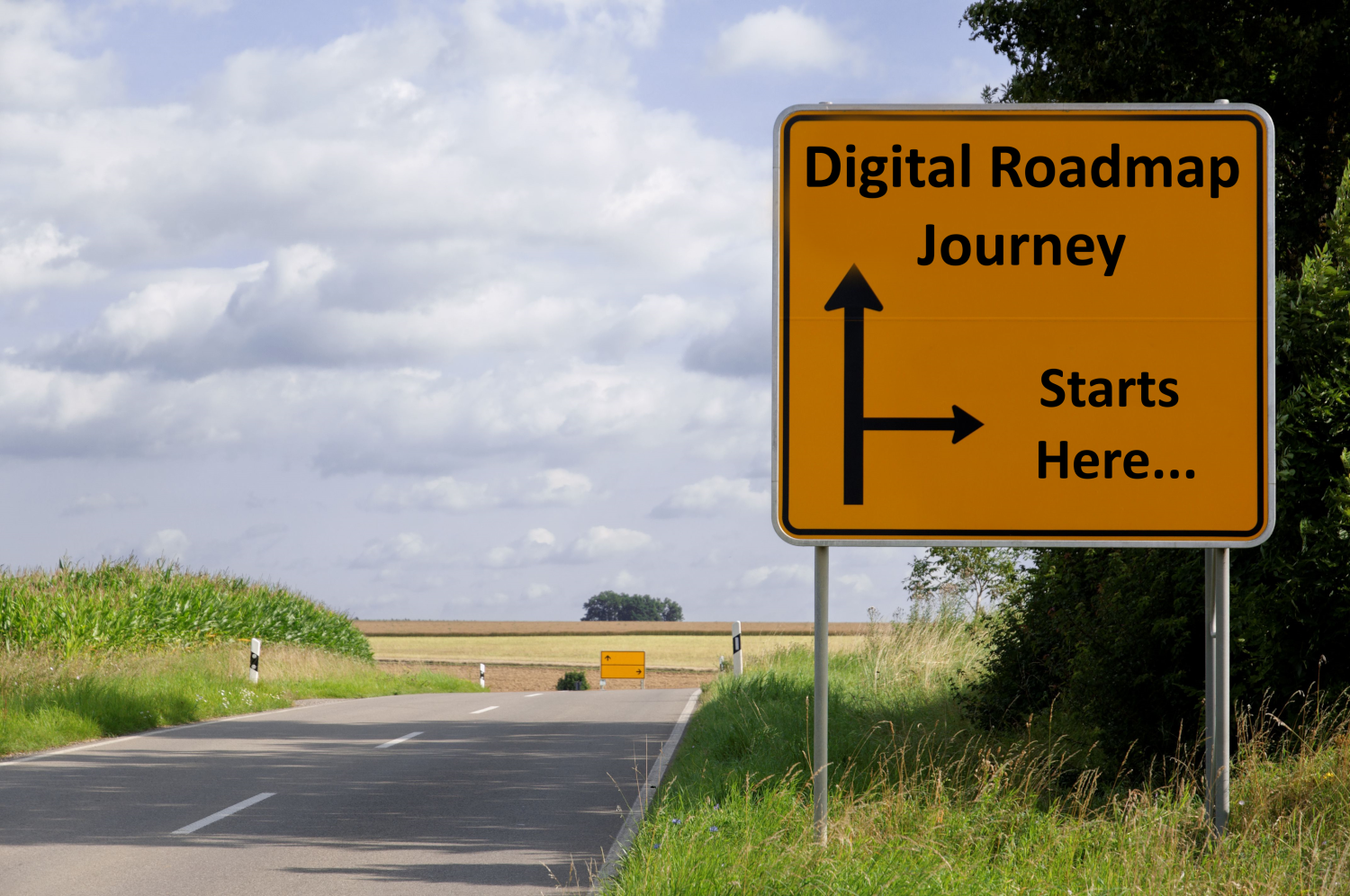 Digital Transformation – Building a Digital Roadmap - BSPOKE Software ...